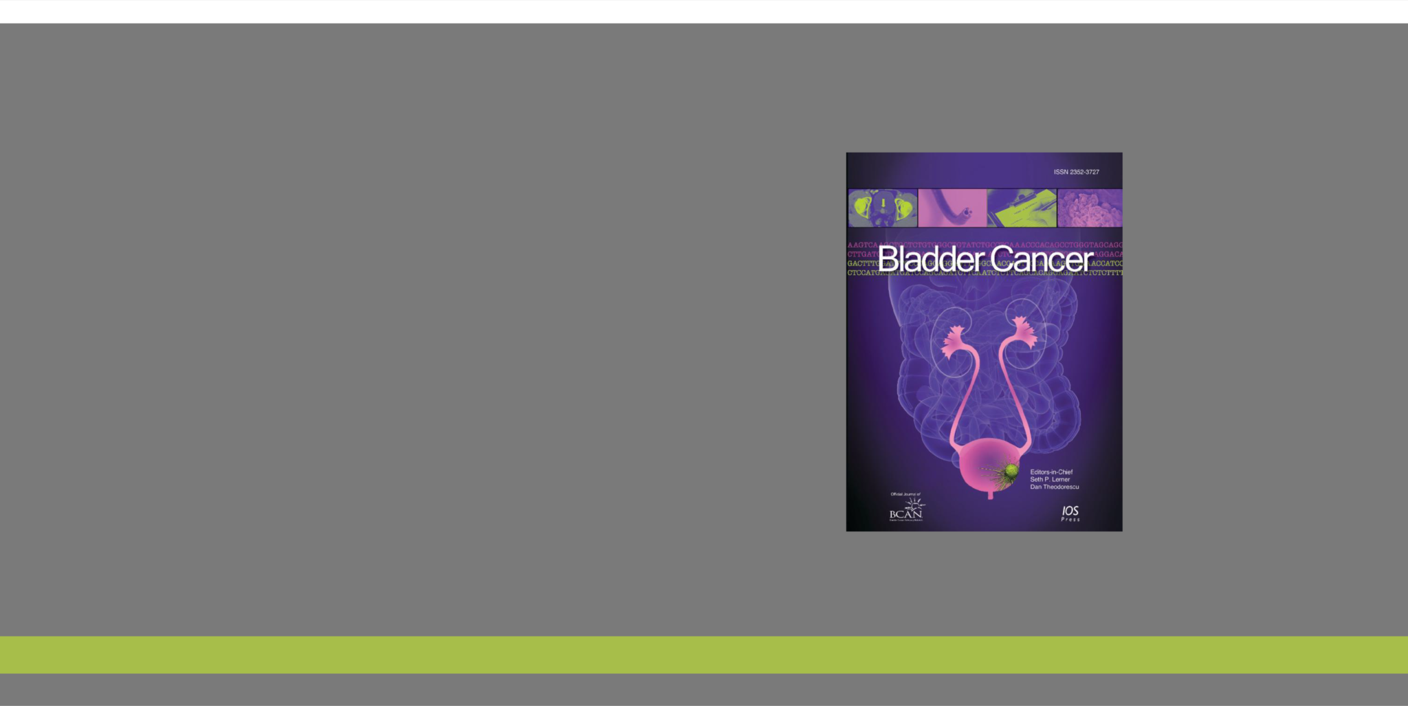 Home | Bladder Cancer Advocacy Network (BCAN)